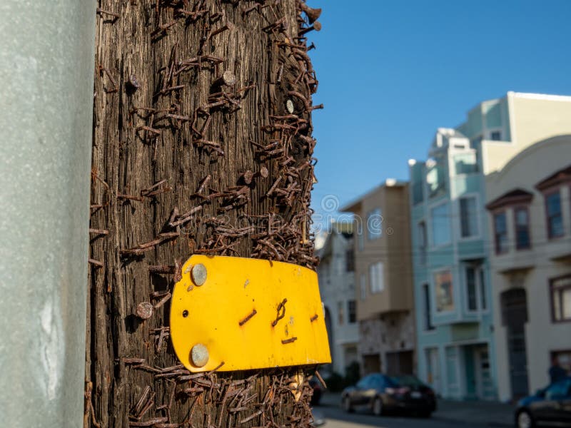 Wooden Post in Residential Area with Rusty Nails and Staples Stock ...