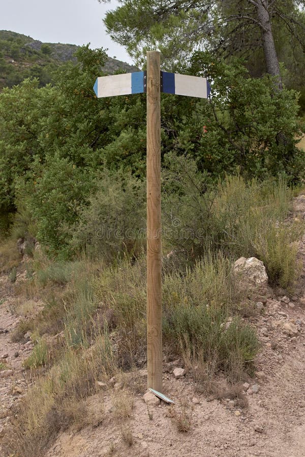 Wooden Post with Signposts in the Forest Stock Photo - Image of ...
