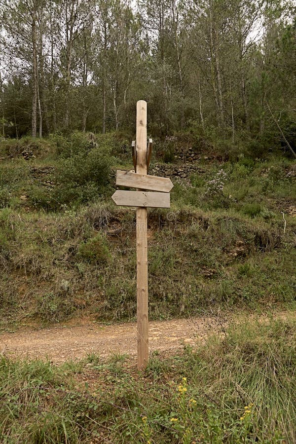 Wooden Post with Signposts in the Forest Stock Image - Image of ...
