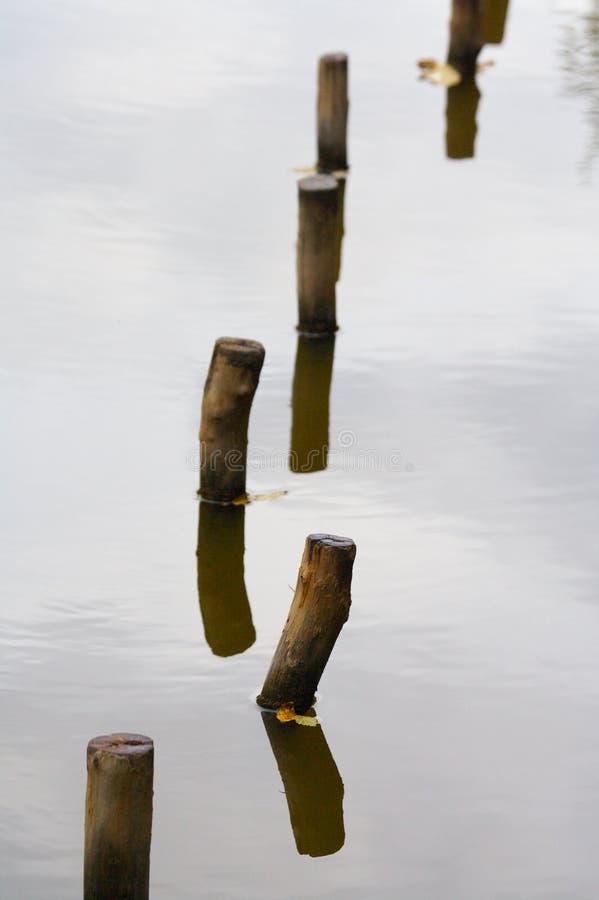 Wooden posts stock image. Image of shape, pattern, lake - 11316077