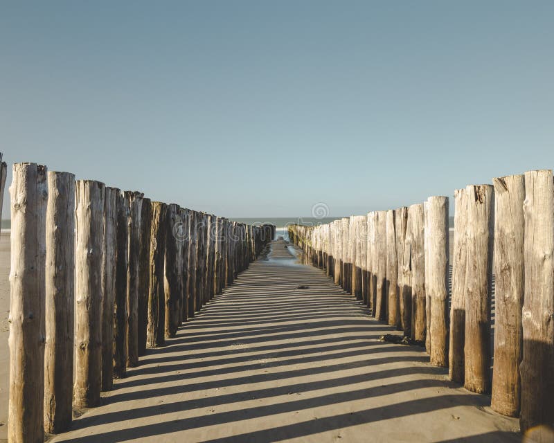 Wooden Posts on a Beach in the Netherlands Stock Photo - Image of ...