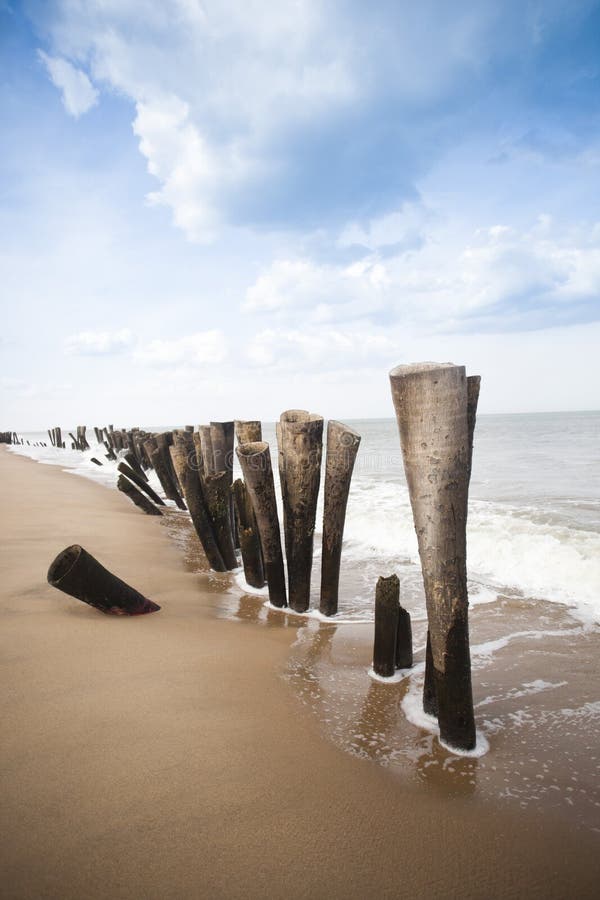 Wooden posts on the beach stock image. Image of vacations - 36388561