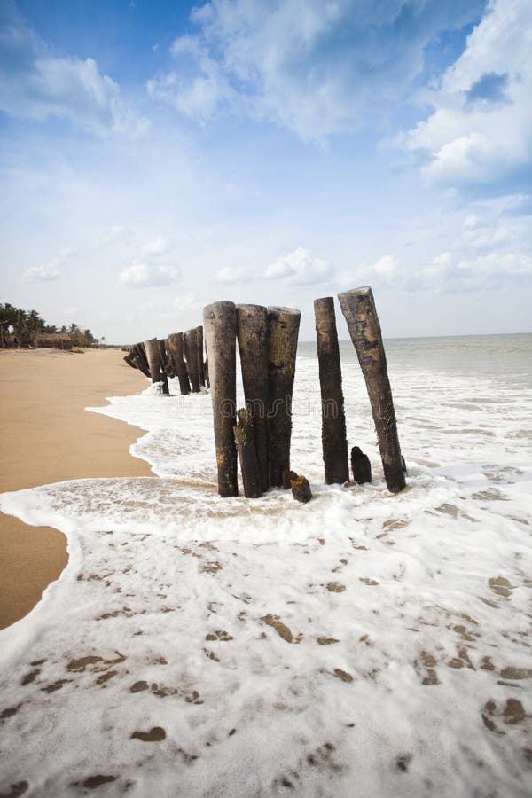 Wooden posts on the beach stock photo. Image of attraction - 36388586