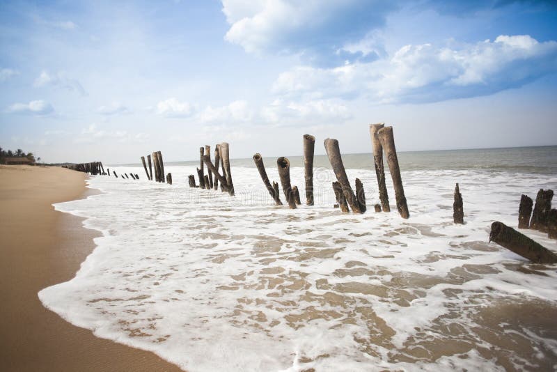 Wooden posts on the beach stock photo. Image of scene - 36388588