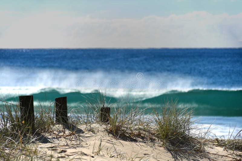 Wooden posts on beach stock image. Image of landscape - 116943573