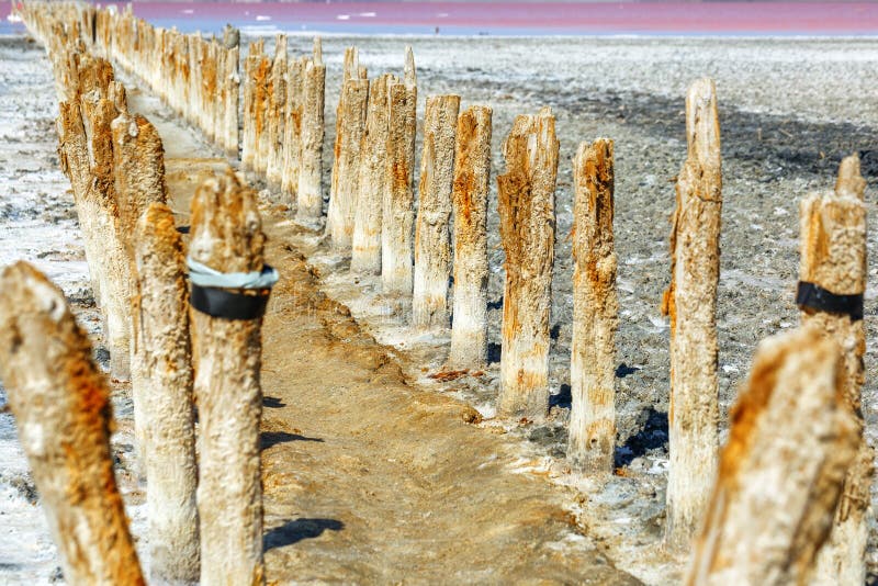 Wooden Posts on Salt Lake Salt Mining Stock Photo - Image of natural ...