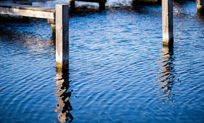 Wooden posts in water stock photo. Image of fall, river - 71951222