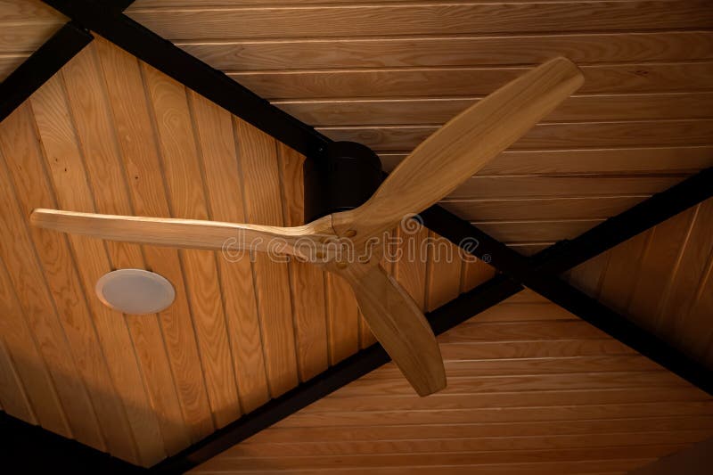 Wooden Propeller on the Ceiling of a Room with Wooden Ceiling Stock ...