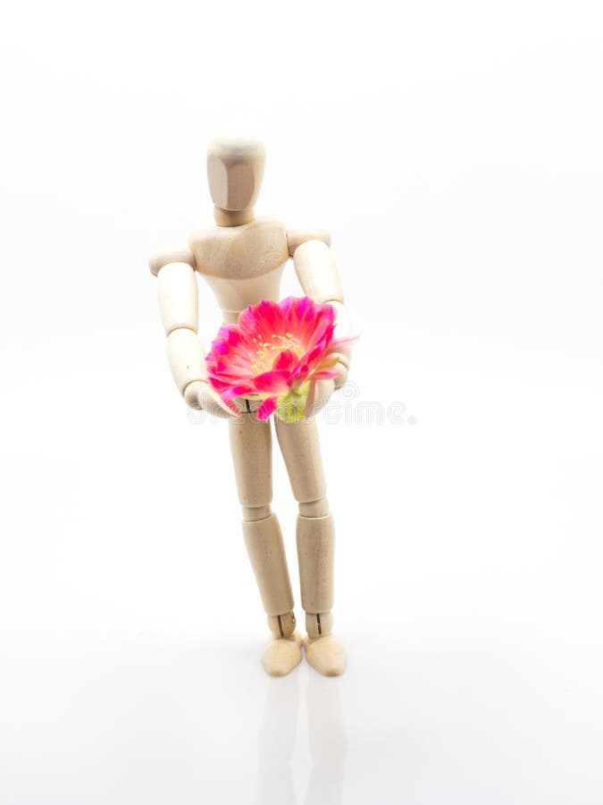 The Wooden Puppet Standing and Hugging Pink Flowers.on a White Backdrop ...