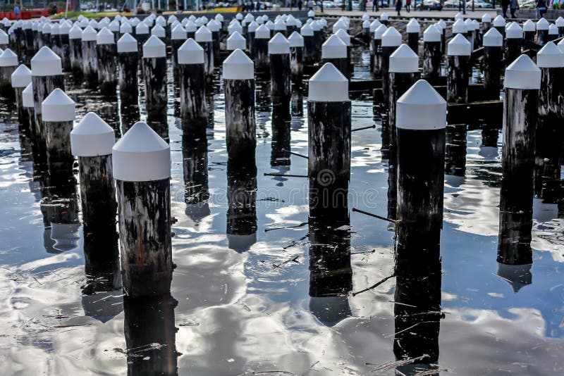 Wooden Pylon by the docks stock photo. Image of dock - 93768880