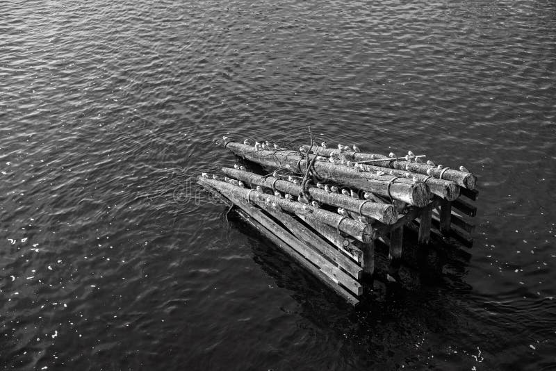 465 Raft Black White Stock Photos - Free & Royalty-Free Stock Photos ...