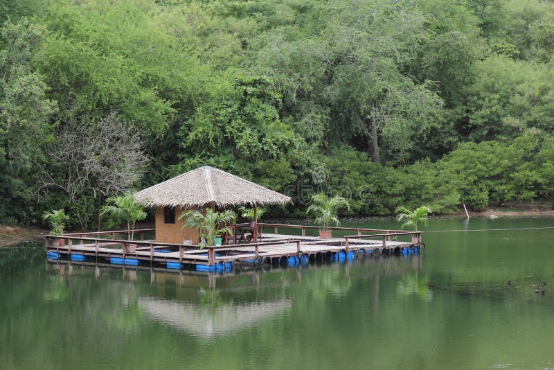 Wooden Raft on the River,Middle of the Forest Stock Photo - Image of ...