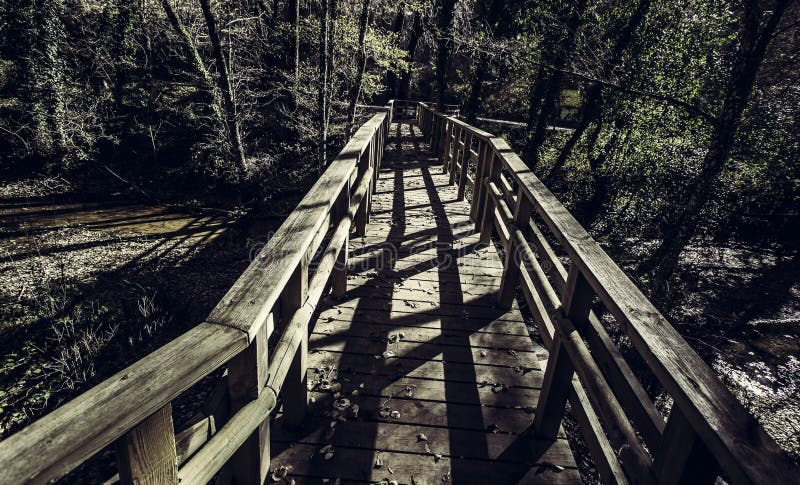 Wooden Railing on a Bridge in a Park during Daytime Stock Photo - Image ...