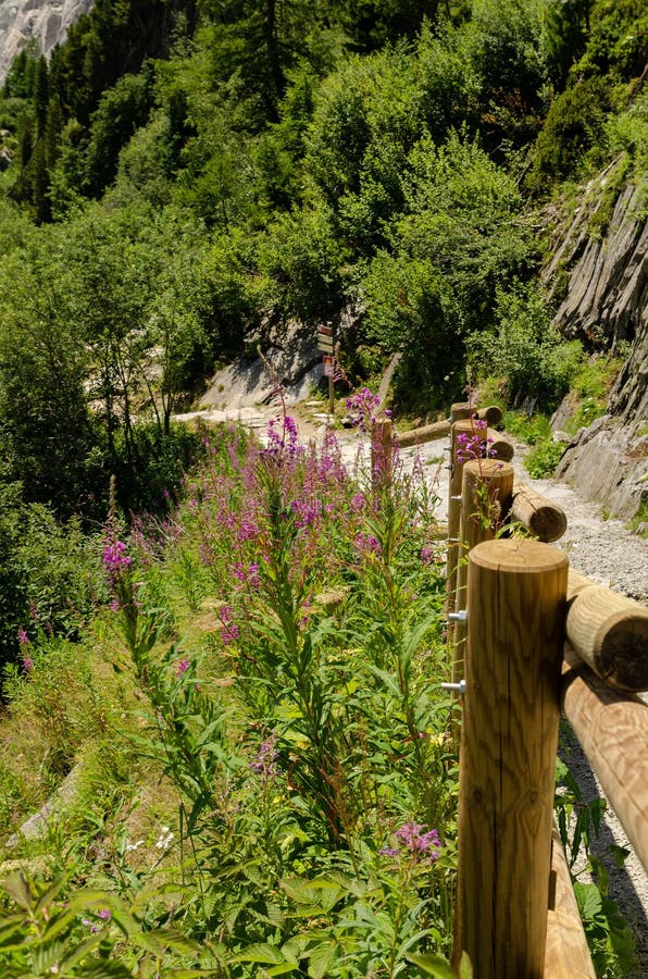 Wooden Railing on a Nice Sunny Hiking Trail Going Uphill Stock Photo ...