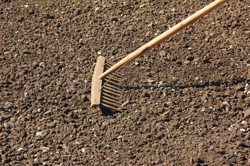 Wooden Rake, Levelling the Ground Stock Photo - Image of agriculture ...