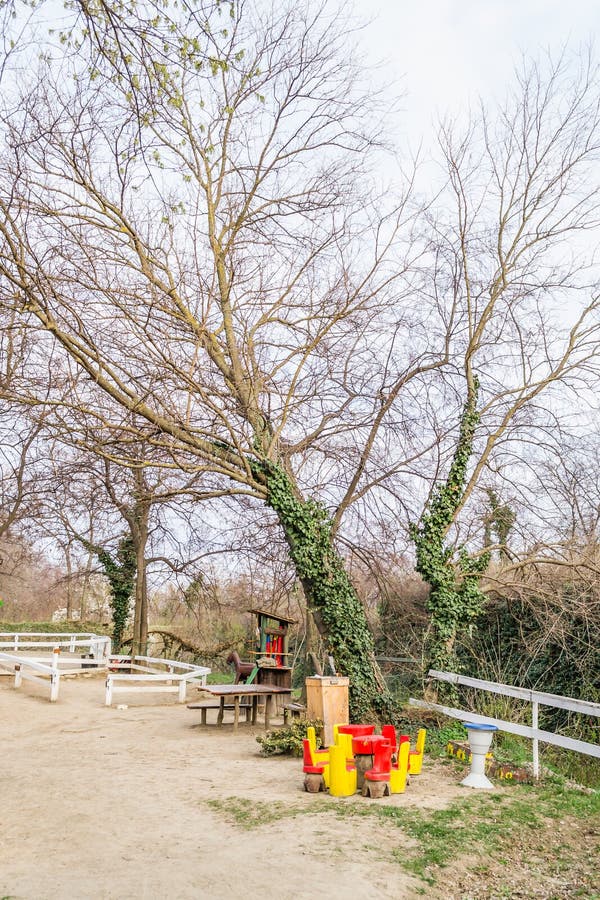 Wooden Benches in the City Park.Sunny Day on the Promenade in the City ...