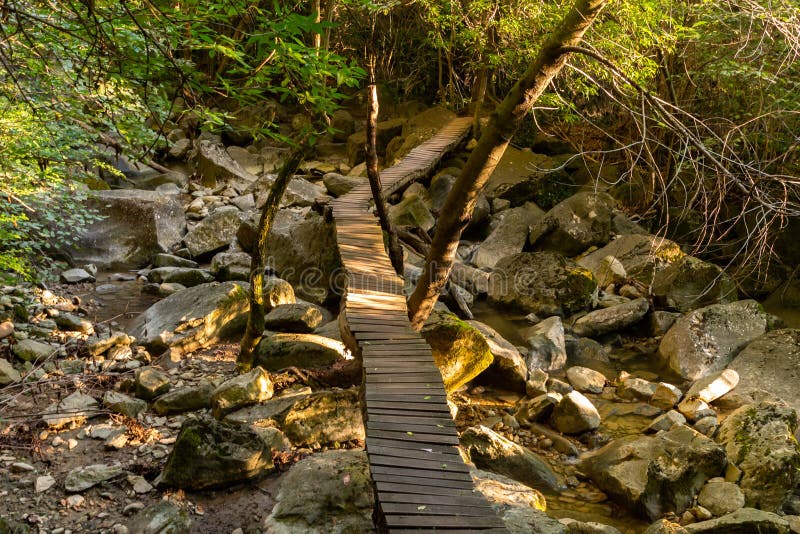 Wooden Reed Bridge between the Forest Stock Image - Image of bridge ...