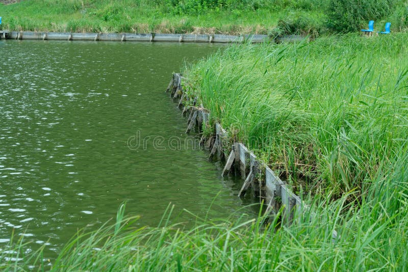 Wooden Retaining Wall by Green Pond Stock Image - Image of wetland ...