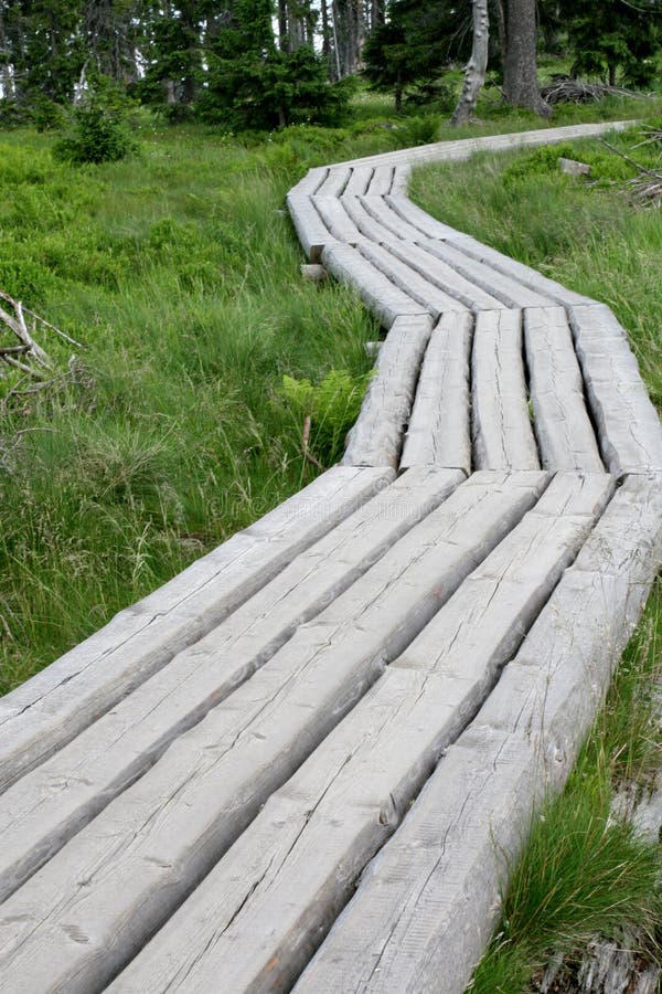 Wooden road stock image. Image of plank, wood, roadway - 4860167