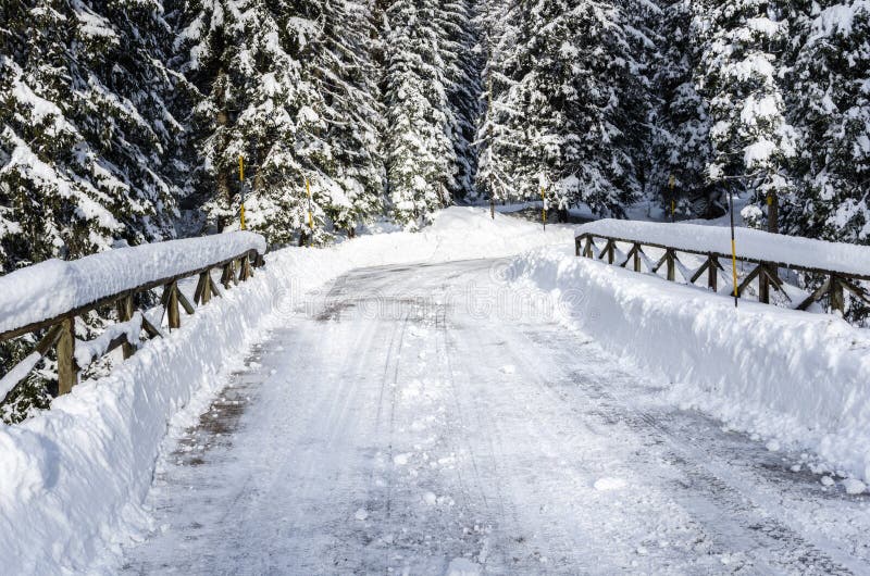 Wooden Road Bridge in a Winter Forest Stock Image - Image of forest ...