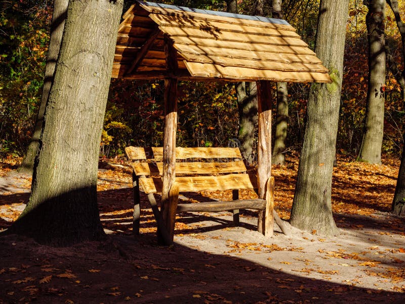 Wooden Roofed Bench among Autumn Tree Trunks Stock Image - Image of ...