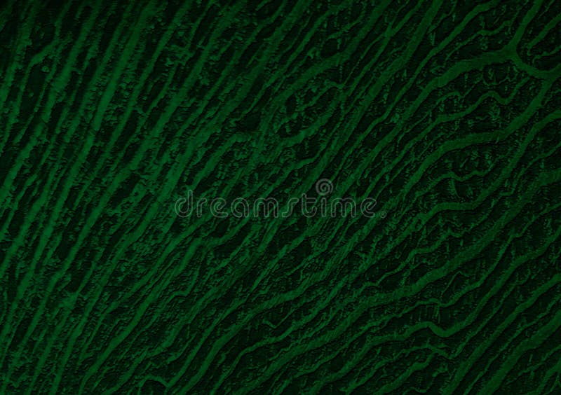 Roots Pattern on the Ground Stock Image - Image of growing, trees: 6259069