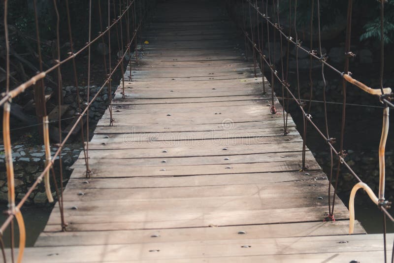 Wooden rope bridge stock photo. Image of bridge, lawn - 192095872