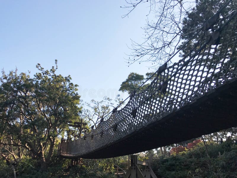 Wooden and Rope Net Bridge between Trees Stock Photo - Image of outdoor ...