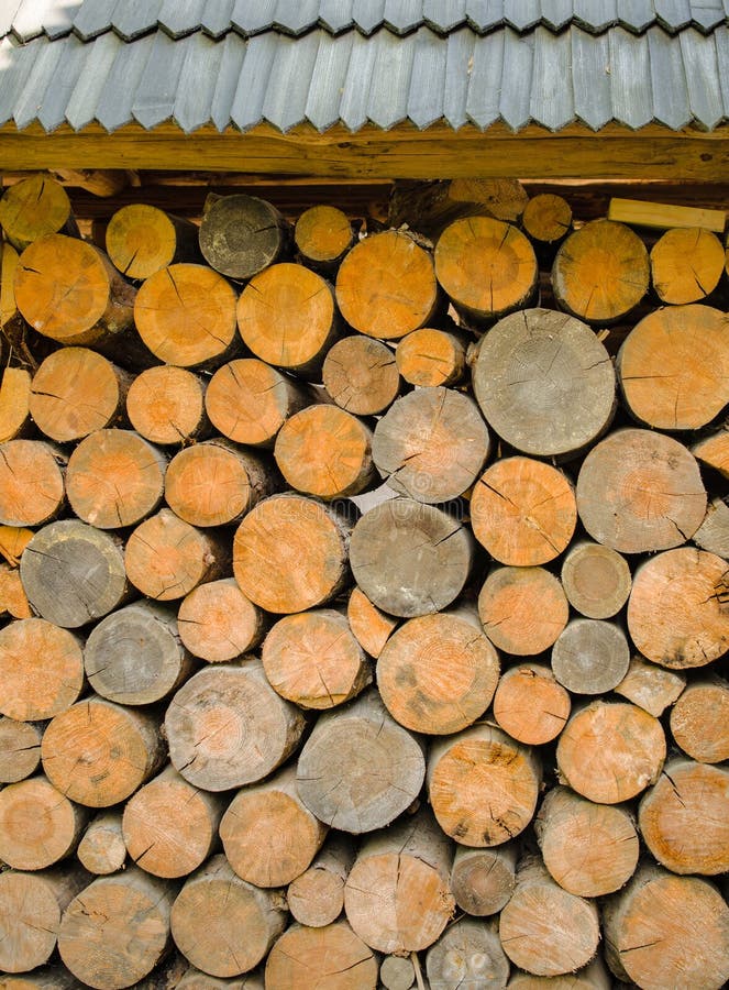 Wooden Round Shaped Timber Under a Canopy. Stock Photo - Image of wood ...