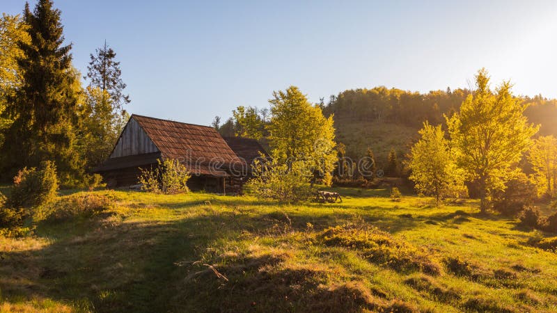 Wooden Rural House in a Green Forest Stock Image - Image of wooden ...