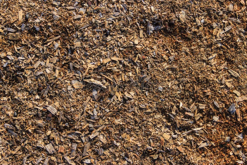 Wooden sawdust background stock image. Image of particle - 74403785