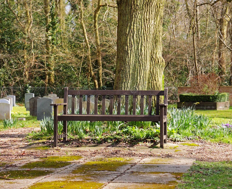 Wooden Seat in an English Cemetery Stock Image - Image of daffs ...