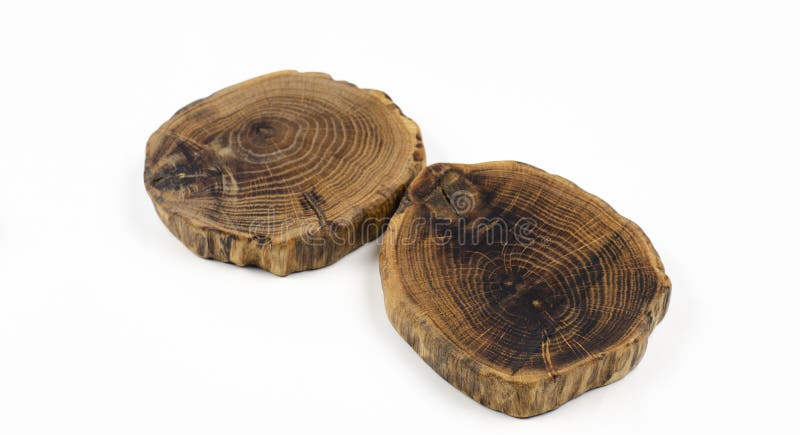 Wooden Section Saw Cut Cut. on White Background. Wood Texture. Stock ...