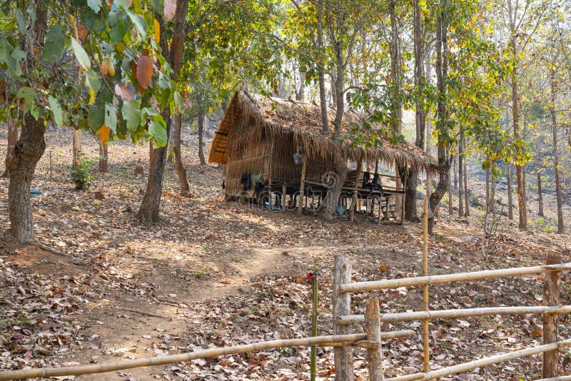 Wooden Shack in a Forest in Laos Stock Image - Image of wood, house ...