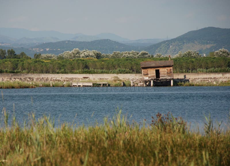 Wooden Shack Surrounded with Grass and Trees Stock Photo - Image of ...