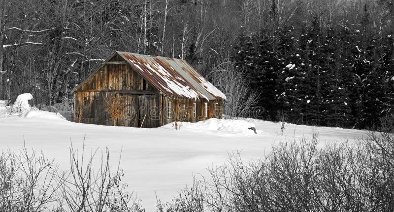 Old Wooden Shack Forest Stock Images - Download 1,413 Royalty Free Photos