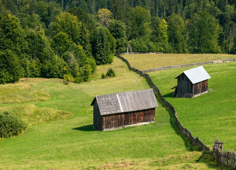 Wooden Shacks on the Field with the Forest Behind Stock Photo - Image ...