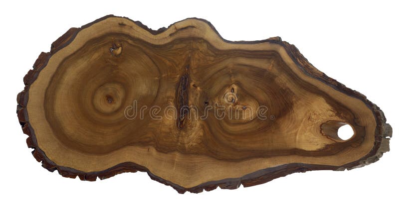 Wooden sheave stock photo. Image of annual, sheave, bark - 26948212