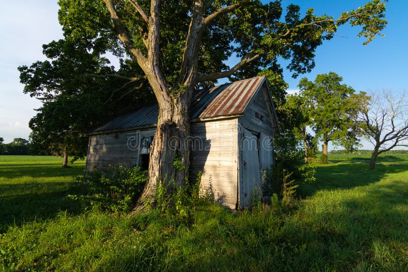 Wooden shed and tree stock image. Image of green, countryside - 153339021