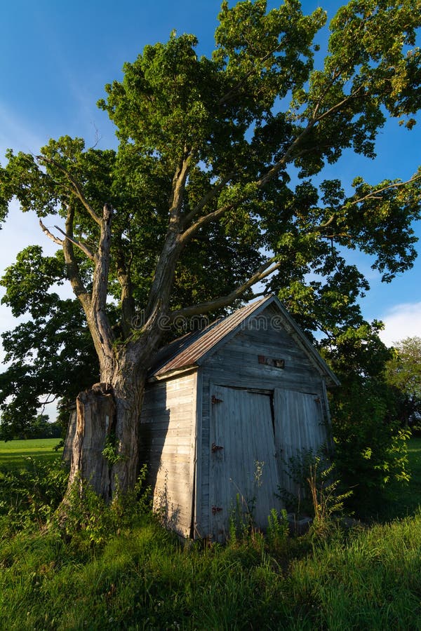 Wooden shed and tree stock photo. Image of illinois - 153339104