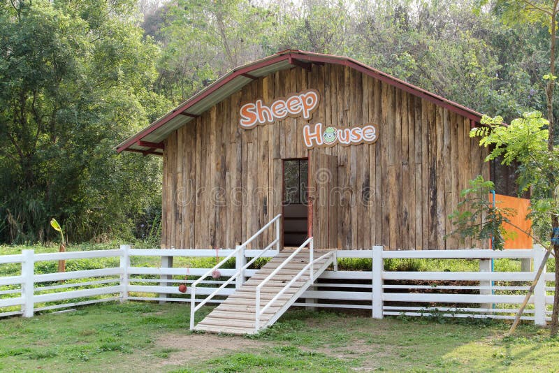 Sheep house in a farm stock image. Image of house, white - 232246067