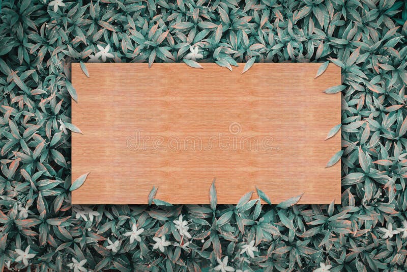 Wooden Sheet on Green Leaves Nature Background Stock Image - Image of ...