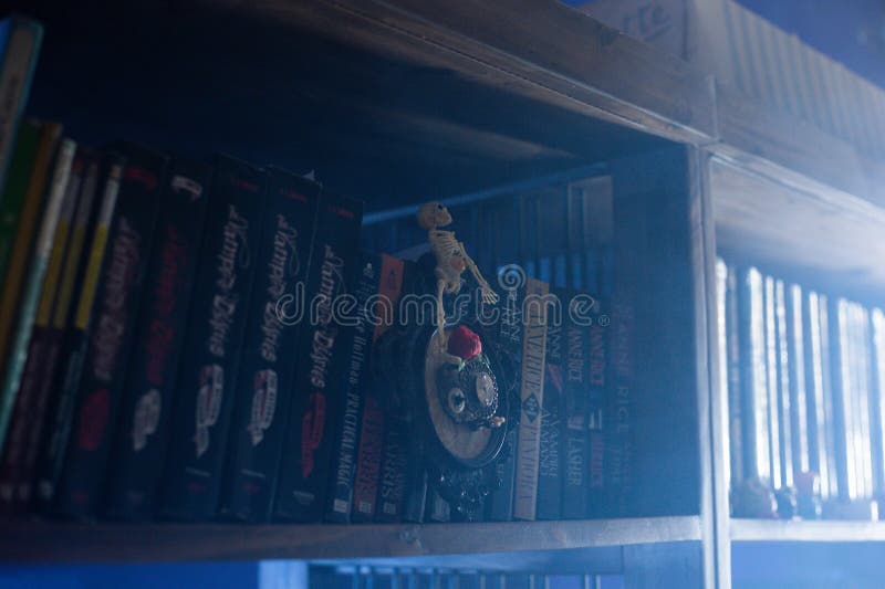 Wooden Shelf with Horror Books on Display Editorial Stock Image - Image ...