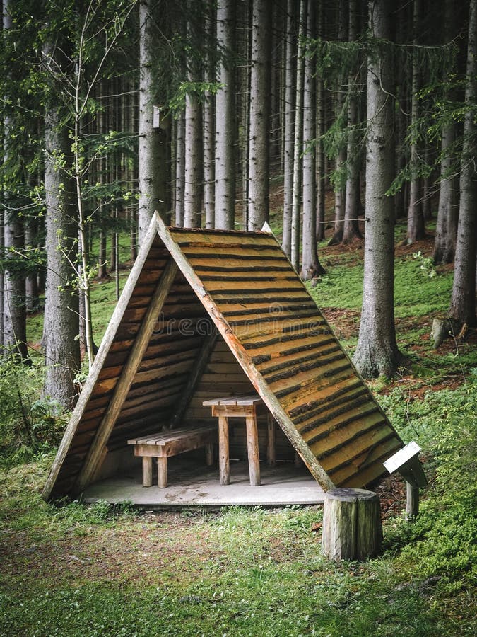A shelter in the forest stock photo. Image of nature - 62170800
