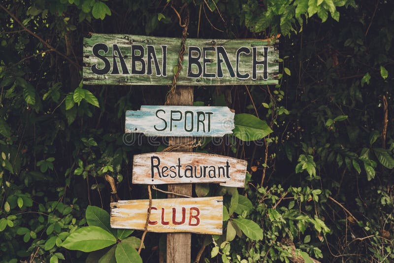 Wooden Sign Board with in Tropical Park Stock Photo - Image of jungle ...