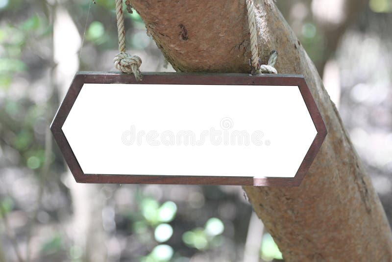 Wooden Sign Hanging on Tree. Stock Image - Image of emblem, tree: 41329287