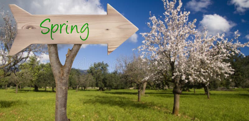 Majorca spring stock photo. Image of balearic, spring - 1938708