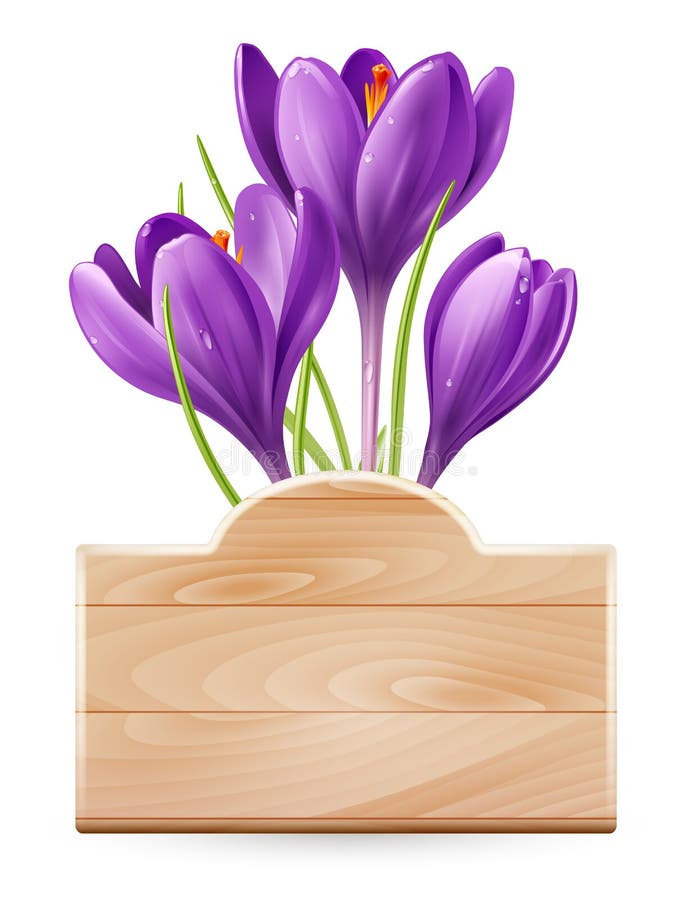 Spring design stock vector. Illustration of magenta, bouquet - 30207238