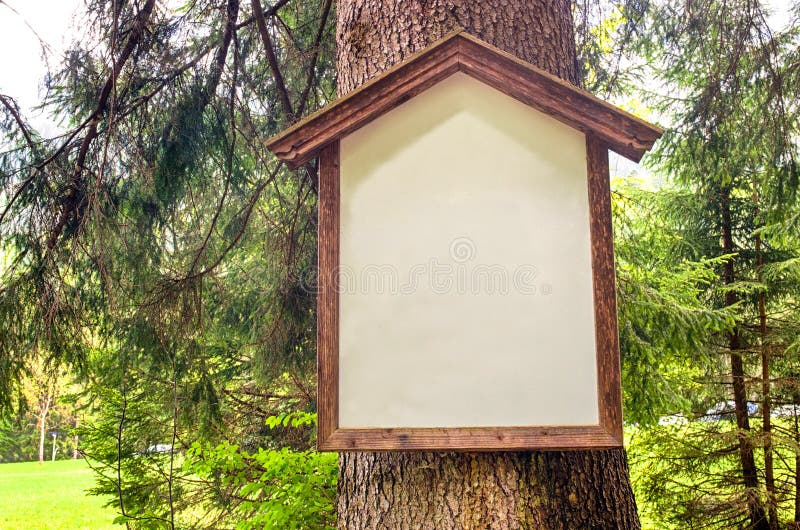 Wooden Sign in Spring Forest Stock Photo - Image of empty, blurry ...