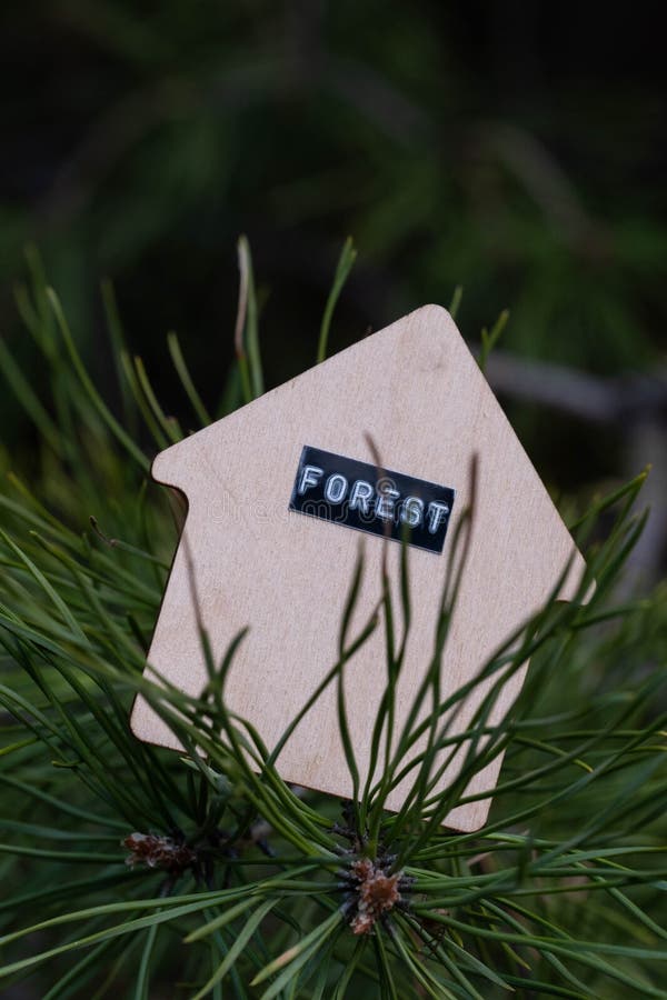 Wooden Sign with Text Forest on Pine Branch Stock Image - Image of ...